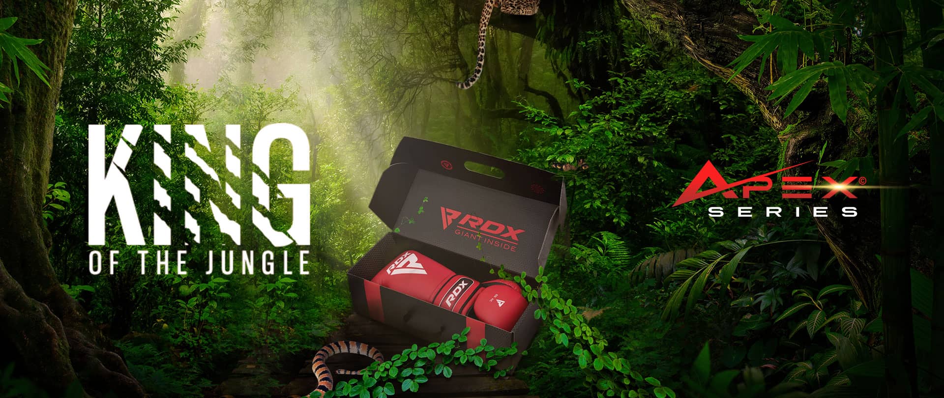 Boxing, MMA, Yoga, Fitness, Combat Sports Equipment & Gear | RDX® Sports CA